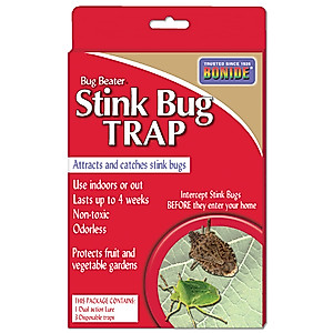 Bonide Bug Beater Stink Bug Trap, Attracts and Catches Stink Bugs Indoors and Outdoors, Long Lasting and Odorless Protection