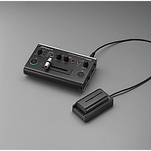 Roland Professional A/V Multi-Format Video Switcher (V-02HD)