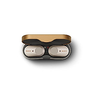 Sony Industry Leading Noise Canceling Truly Wireless Earbuds Compatible with Alexa Voice Control, Silver - Worldwide Version