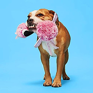 Barkbox Dog Rope Toys - Durable Tug Toys for Chewers, Puppy Teething, and Small, Medium, and Large Dogs | Bert of Paradise