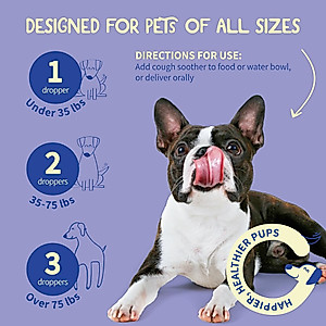 Dog Cough Treatment - Kennel Cough Treatment for Dogs - Gentle Dog Congestion Relief - Kennel Cough Treatment at Home - Natural Dog Cough Suppressant - Liquid Dog Cough Relief