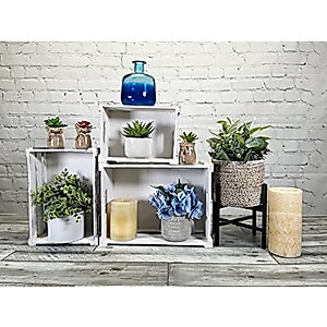 Admired By Nature Rustic White Set of 3 Distressed Decorative Wood Crates Storage Container