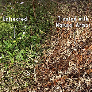 Natural Armor Weed and Grass Killer All-Natural Concentrated Formula. Contains No Glyphosate (320 OZ. 2.5 Gallon)