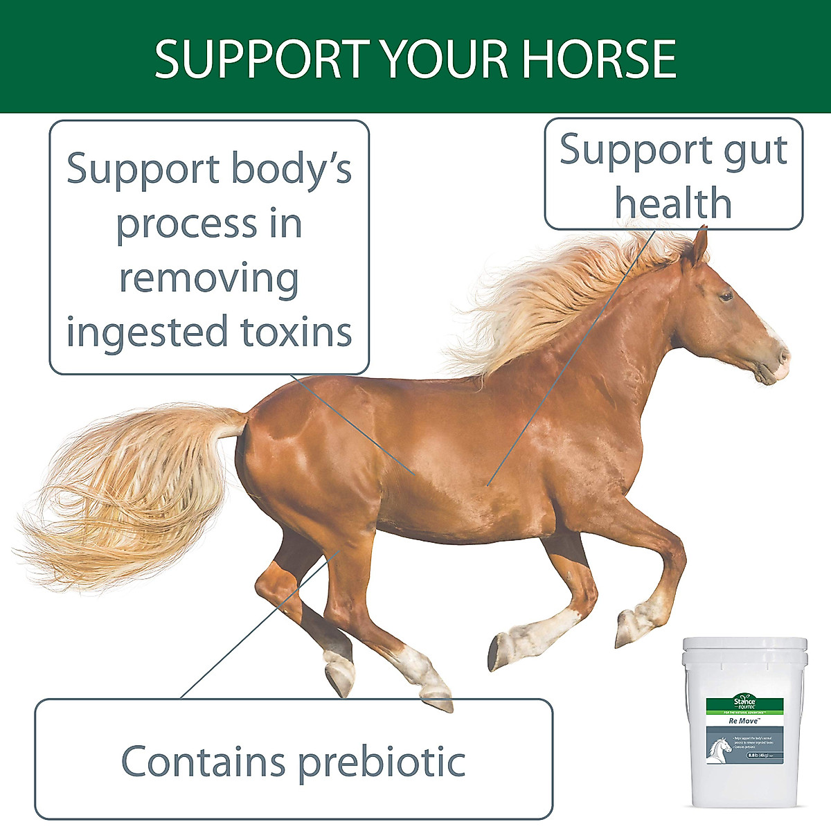 Stance Equitec Re Move - Horse Supplements That Support The Body's Normal Process to Remove Ingested Toxins, Contains Probiotics - 8.8 lb