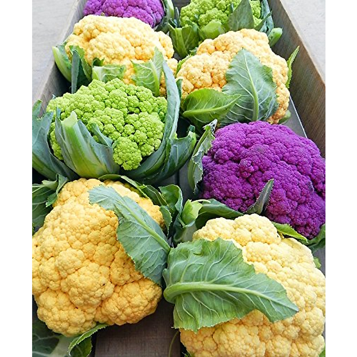 Please Read! This is A Mix!!! 50+ Cauliflower Mix Seeds Heirloom Non-GMO 4 Varieties Purple Green Yellow Delicious from USA
