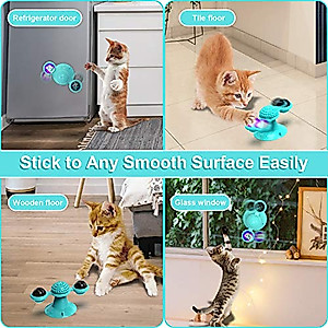 GBSYU Interactive Windmill Cat Toys with Catnip : Cat Toys for Indoor Cats Funny Kitten Toys with LED Light Ball Suction Cup‖Cat Nip Toy for Cat chew Exercise (Blue)