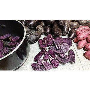 Russet Potato Seeds, 70 TPS True Potato Seeds Russet Yellow Mix Potatoes Berry I Planting Ornaments Garden Perennials Simple to Grow Pots Gift