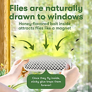 BugMD Barfly - Window Fly Traps (2 Pack) - Window Fly Paper Trap for Indoor, Window Fly Strips/Tape for Home, Fly Catcher/Control