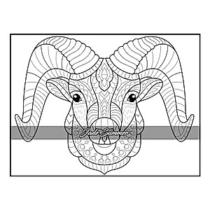 100 Animals: An Adult Coloring Book with Lions, Elephants, Owls, Horses, Dogs, Cats, and Many More!