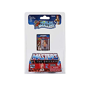 World's Smallest Masters of The Universe Micro Action Figures, Multi (5030)