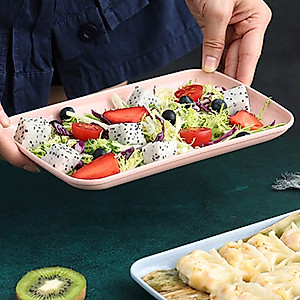 Roucerlin 4 Pack Big Rectangular Dinner Plates, Unbreakable Wheat Straw Plates, Reusable Durable Lightweight Salad Plate for Fruits, Snack, Pasta, Cake, Dessert, Dishes (9.3in, Beige)