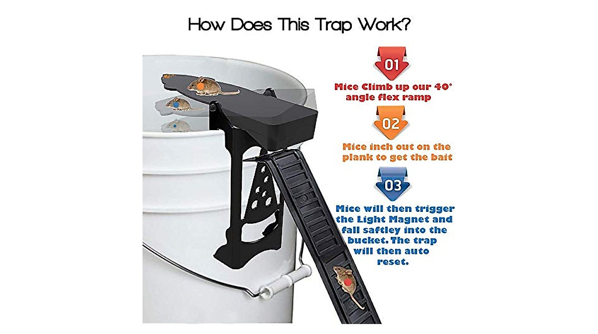 RinneTraps - 2 Pack Walk The Plank Mouse Trap | Bucket Mouse Trap ...