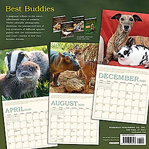 Unlikely Friendships Wall Calendar 2020