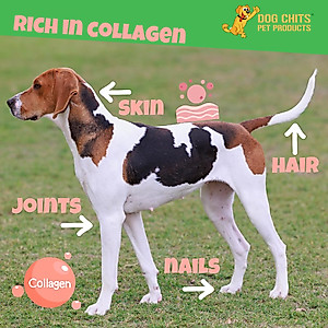 Dog Chits Beef Cheek 6", 4 Pack, Dog and Puppy Chews, Thick, Lasts for Days, 100% Cheek (not Hide), Single Ingredient, All Natural, Fully Digestible