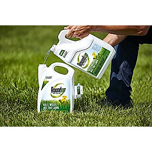 Roundup For Lawns1 Refill (Northern), 1.25 gal. - Lawn Safe Weed Killer For Northern Lawns - Kills Crabgrass, Dandelion, Clover and Yellow Nutsedge - Kills Weeds, Not the Lawn
