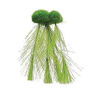 Underwater Treasures Floating Moss with Feather Roots - Small