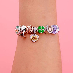 Best Friend Heart Bracelet Charms for Women - 925 Sterling Silver BFF Pendant Beads - fits Pandora Mothers Day Bracelets Necklaces, Gift for Birthday/Christmas/Thanksgiving