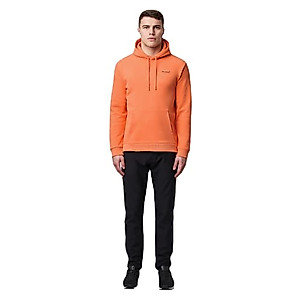 McLaren F1 Men's Lando Norris Core Hoodie (M)