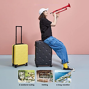 GinzaTravel 2 Piece luggage sets PC Hardside Lightweight Suitcase with 4 Universal Wheels TSA Lock Carry-on suitcase 2026inch (Pink(Circle), 2-Piece Set(20/26))