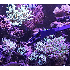 AquaticHI Aquarium Tongs 27 inch (70 cm), 100% Reef Safe, Multi Purpose for Fresh and Saltwater Fish Tanks, Clip Plants, Spot Feed Fish and Coral, Keep Hands Dry