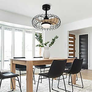 Nogcew Ceiling Fan With Lights and Remote, 20" Caged Ceiling Fans with Light,3-color Temperature,2 Rods, Reversible,Dimmable,Low Profile Ceiling Fan for Dining Room,Bedroom,Living Room