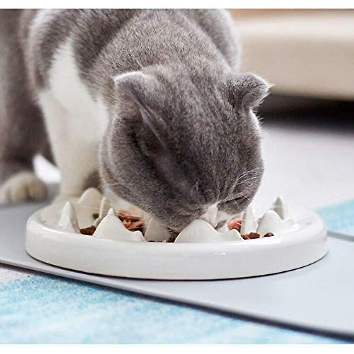 Slow Feeder Bowl for Cats and Small Dogs,Cilkus Fish Pool Design, Fun Interactive Bloat Stop Puzzle Feeder Bowl Healthy Eating Diet Made of Melamine Food Grade Material Dishwasher Safe (Small,White)
