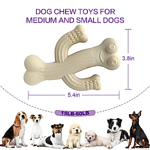Medlladle Dog Chew Toys Cactus for Aggressive Chewers Small Breed, Indestructible Tough Dog Toys for Puppies Pet Toy with Durable Natural Rubber