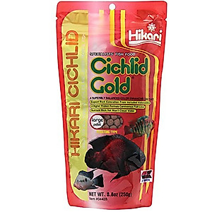 Hikari 8.8-Ounce Cichlid Gold Floating Pellets for Pets, Large [2-Pack[