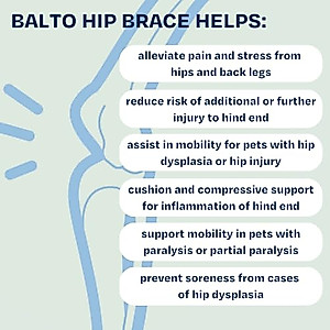 Balto Life Hip Dysplasia Brace – Dog Hip Support Harness – Hind End Adjustable Compression Brace - Distribute Weight Evenly Helps Prevent New Injuries – Rear Support Aide (Medium)