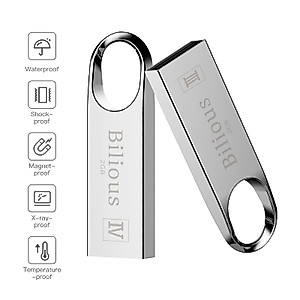 USB Flash Drive, Bilious Portable Keychain Design Thumb Drives Bulk 10 Pack, Metal Style Memory Stick U Disk, Waterproof Jump Pen Drive for Storage and Backup (16GB, 10 Pack)