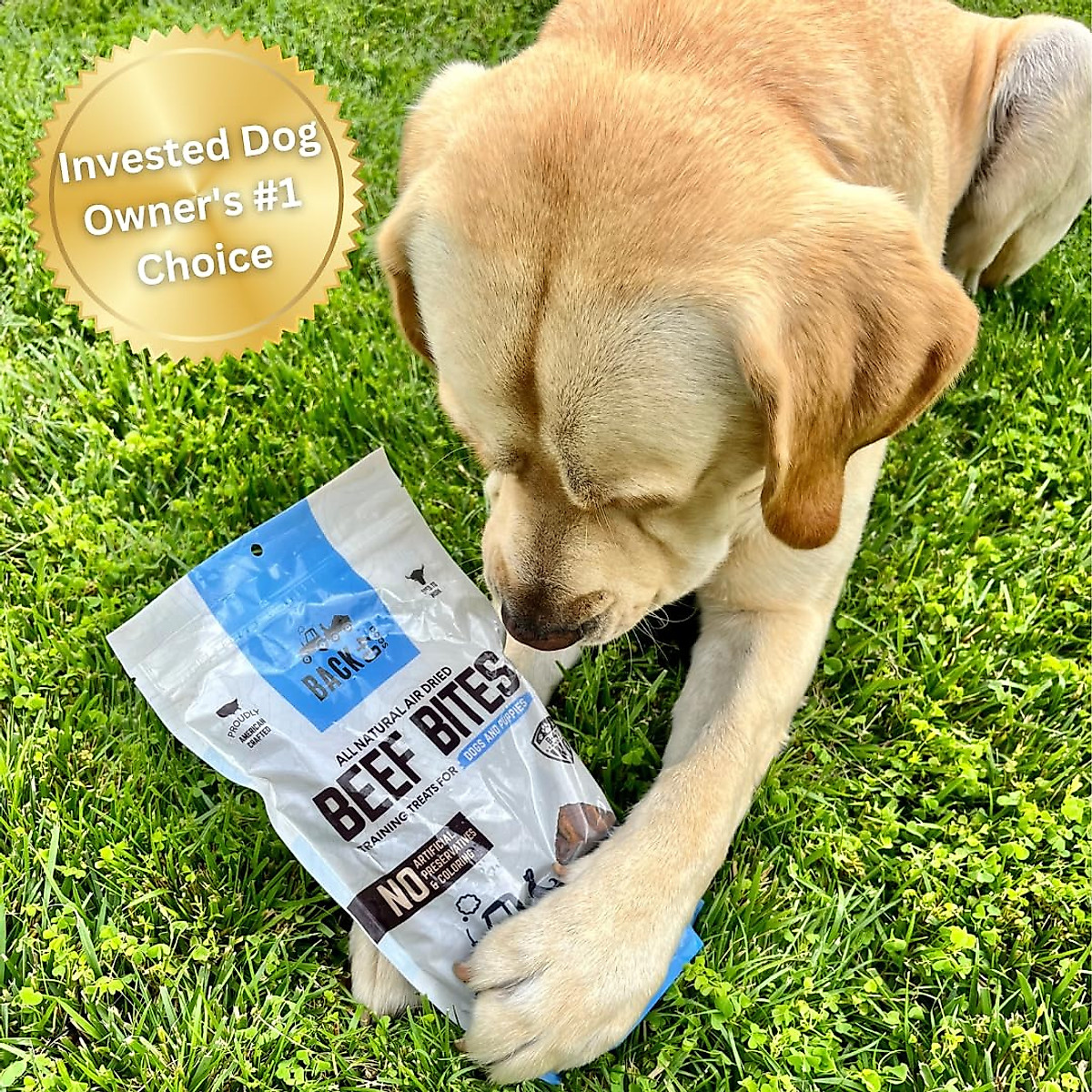 Back 40 Dogs Beef Bites - All Natural Premium Air Dried Dog Training Treats - Free Range Beef, Real Meat - High Protein Dog Food Toppers & Dog Treat - Puppy Essentials, Made in USA - 16oz