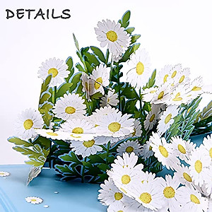 GREAT&LUCKY Pop Up Cards - 3D Pop Up Greeting Cards, Daisy Birthday Card, Mother's Day Card, Flower Spring Card With Envelope for Wife, Mom, Grandma, Sister, Girlfriend, Daughter