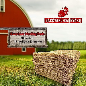 Backyard Barnyard 12 Pack Chicken Nesting Box Pad Made in USA! 13 x 13 Excelsior Liner for Coop Aspen Hay Fiber Poultry Bedding for Egg Laying Hens Pollos Chook