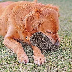 ZippyPaws 12-Inch Hedgehog Squeaky Plush Dog Toy, X-Large for All Breed Sizes