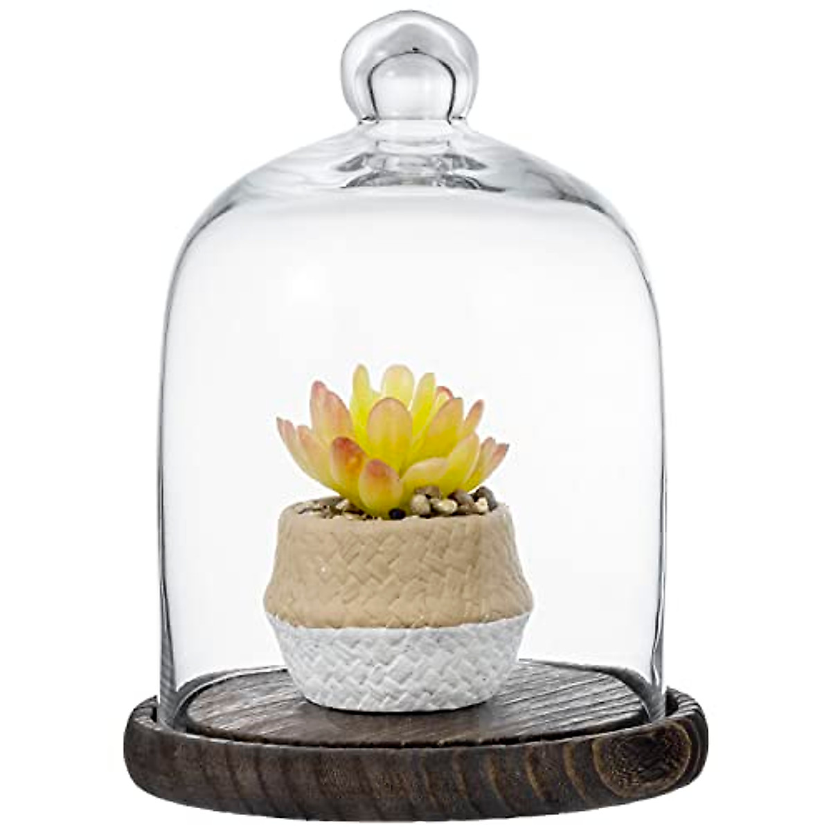 MyGift Clear Cloche Glass Dome, Display Bell Jar with Top Handle and Rustic Brown Solid Wood Base