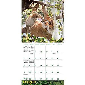 Stoner Sloths 2024 Wall Calendar, 16-Month Humor & Comic Calendar, 12" x 12"