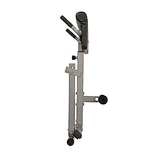 Sunny Health & Fitness SF-BH6629 45 Degree Hyperextension Roman Chair Grey