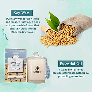 Wavertree & London Organic Beach Scent Soy Wax Candle | Non Toxic 100% Cotton Wick Triple Scented Pure Natural Soy Wax Candles, Hand Poured in Australia | 60 Hours Burning Time, 11.66 Oz