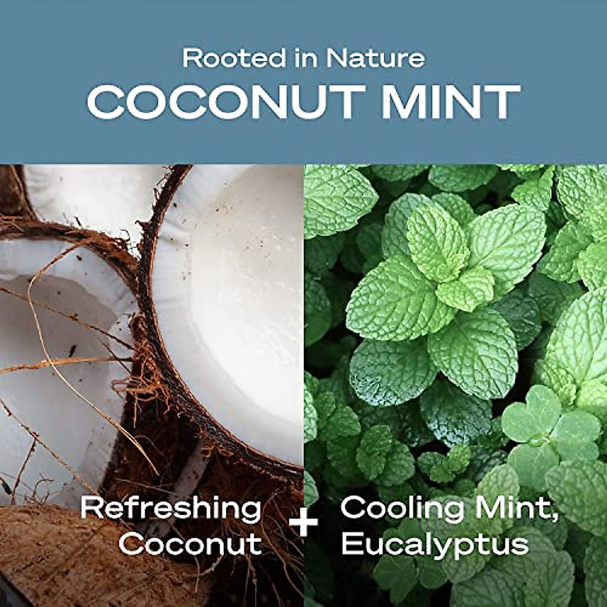 Hey Humans Coconut Mint Vegan, Aluminum Free Deodorant with Natural Ingredients, Coconut Oil & Shea Butter | All Day Odor Protection for Women & Men | Earth-Friendly Packaging, 2 oz. - Pack of 2