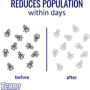 T300B Liquid Ant Killer - 12 Bait Stations, Effective Indoor & Outdoor Ant Control, Safe for Pets, Quick Results + Create Sticker