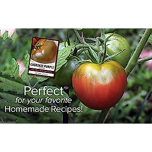 Cherokee Purple Tomato Seeds for Planting Heirloom Non-GMO Seeds for Home Garden Vegetables Makes a Great Gift for Gardening by Gardeners Basics