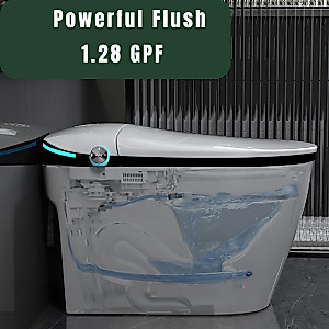 WinZo Luxury Smart Toilet, 1.28 Intelligent Bidet Toilet with Auto Flush, Heated Seat with Warm Water and Dryer, Modern Tankless Design with Remote Control, Night Light, White