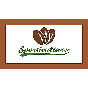 Sporticulture Dallas Cowboys 36 Inch Tall LED Torch Light-Emulates Flickering Flames-Auto On & Off Outdoor Waterproof Landscape Lighting Decoration-Security Light for Any Patio, Yard & Walkway