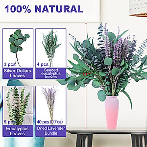 52 PCS Mix Dried Eucalyptus & Lavender Flowers Bundles for Shower, 17'' Natural Real Hanging Silver Dollar Eucalyptus Leaves Stems, Fragrance Fresh Plants Home Bathroom Decor (52pcs)