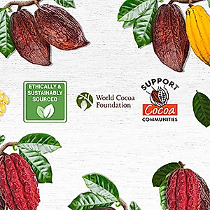 Palmer's Cocoa Butter Formula Daily Skin Therapy Concentrated Cream, 2.1 Ounces (Pack of 12)