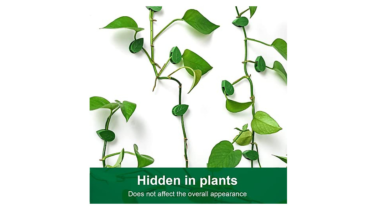 Invisible Plant Wall Clips - 60 Pcs for Neat Gardens