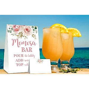 Momosa Bar Supplies Kit - Floral Momosa Bar Sign - Blush Pink Table Place Cards - Bridal Shower, Graduation Party, Bubbly Bar, Mimosa Bar, Birthday Brunch, Engagement Party Decor(01)
