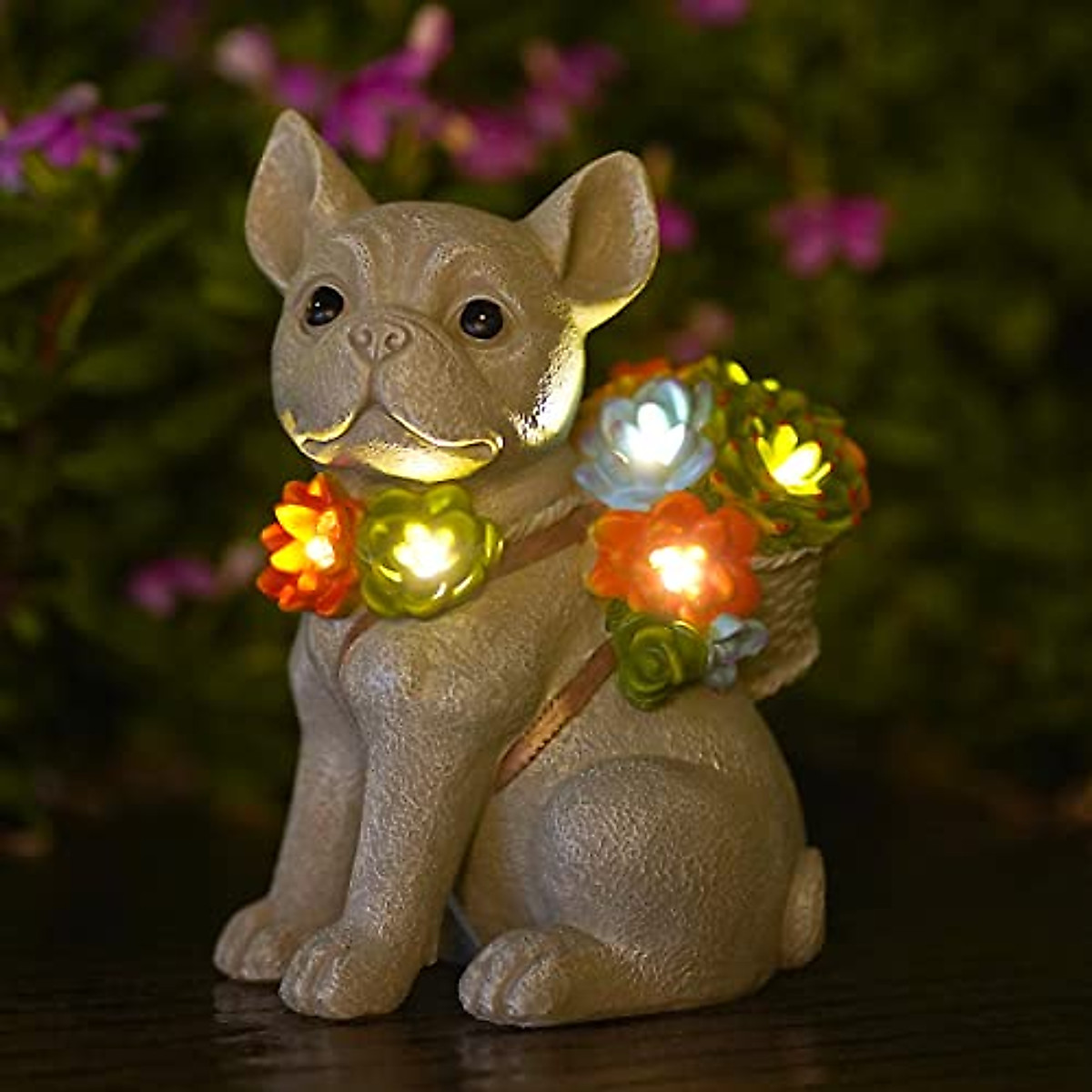 Qeeman A Bundle of Cat with Lantern and Dog
