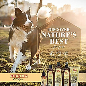 Burt's Bees for Pets Care Plus+ Naturally Derived Hydrating Dog Grooming Paw & Nose Lotion- Dog Paw & Nose Lotion for Relieving Rough Paw Pads and Noses - Made in the USA, 6 Oz