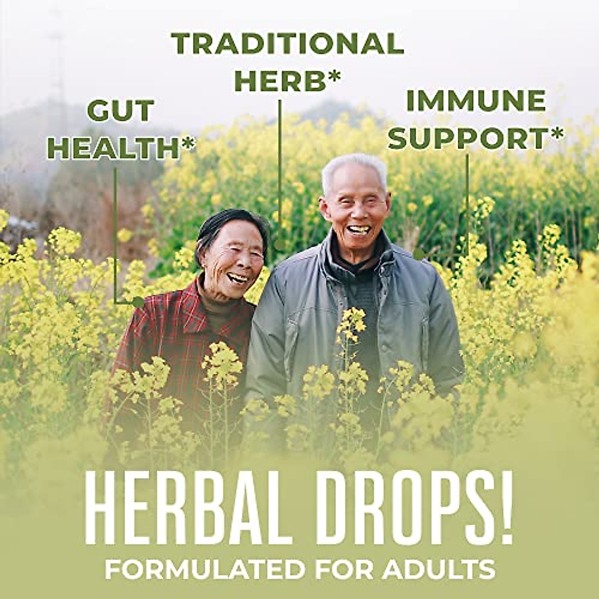 Oregano Oil Drops | 6 Month Supply | USDA Organic Oil of Oregano Liquid | Herbal Blend for Immune Support | Digestive Health | Overall Health | Vegan | Sugar Free | Non-GMO | 1 Fl Oz